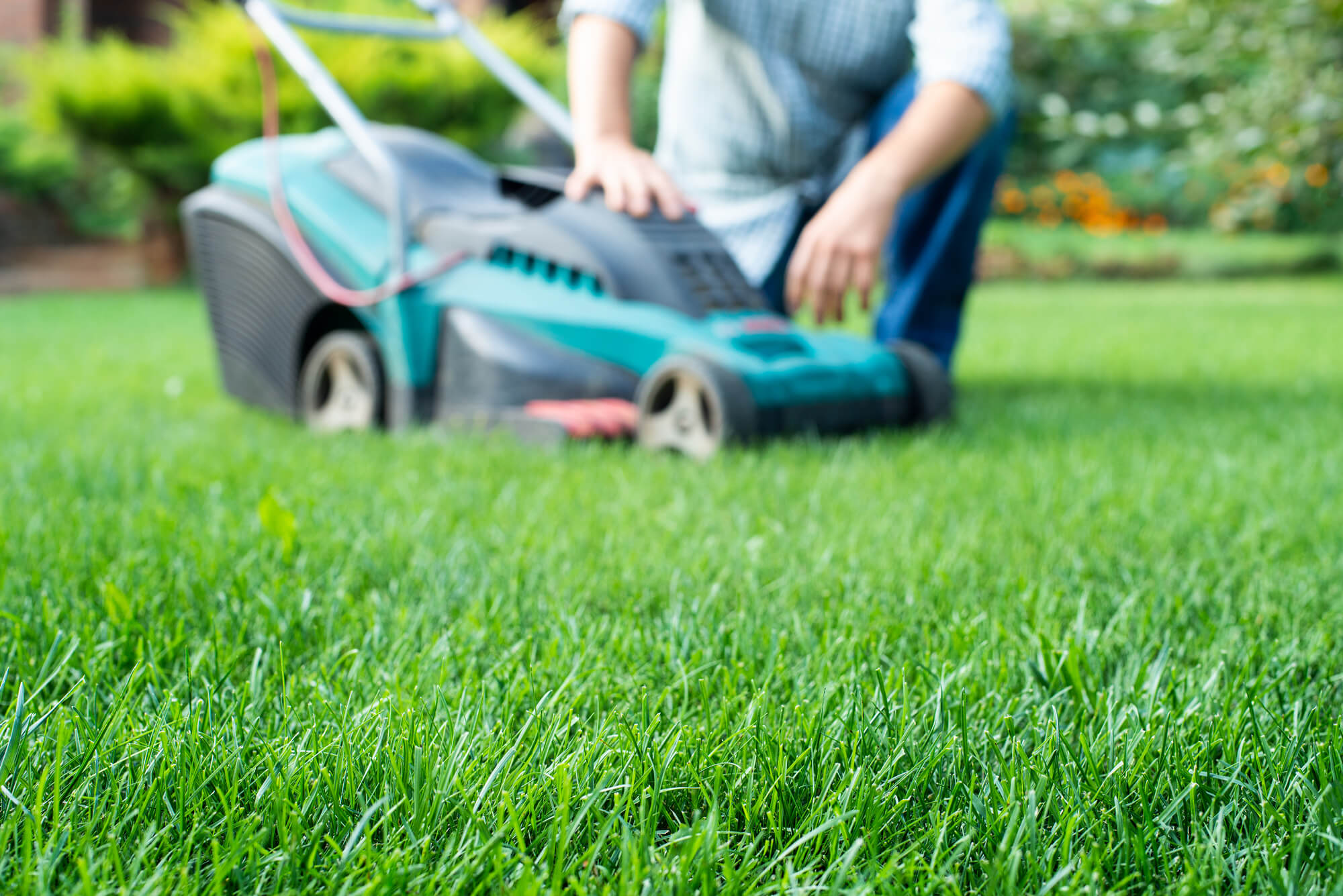 Lawn Care Contractor in Madisonville, LA | TurnKey Lawn Care